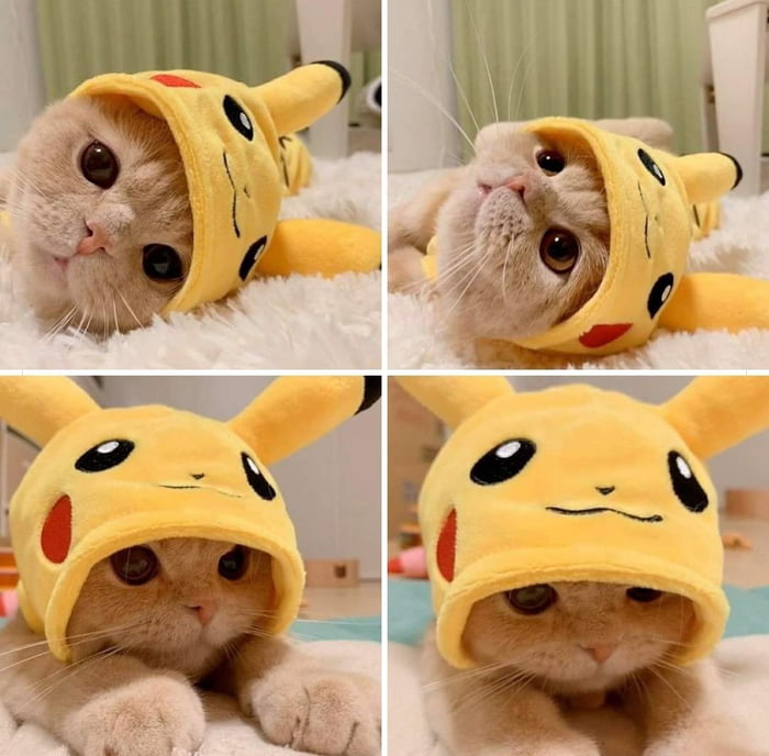 Pika Catto San - 9GAG