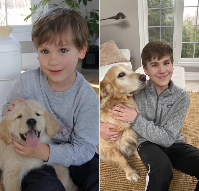 9 Years spent with this perfect doggo! Hopefully many more to come! - 9GAG