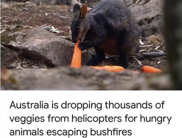 We’re with you Australia! - 9GAG