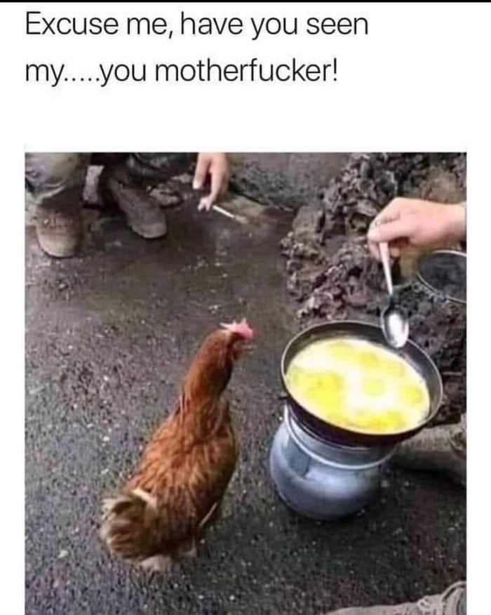 Poor chicken - 9GAG
