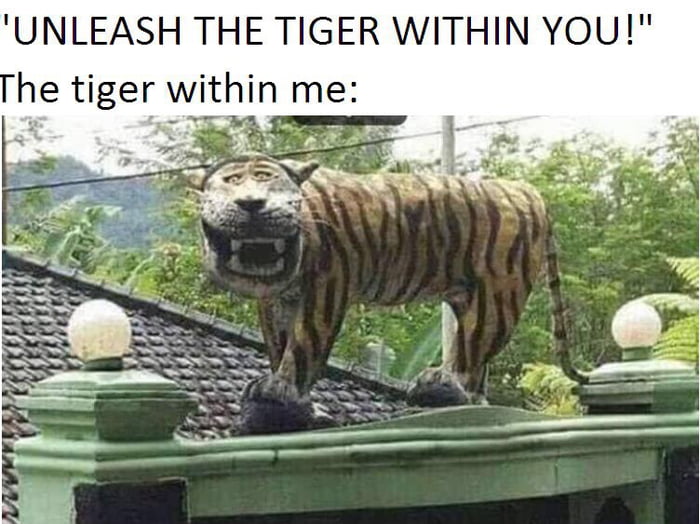 The tiger within me: *what* tiger - 9GAG