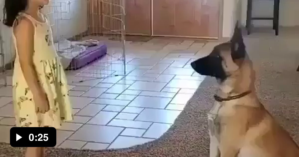 Hide and seek - 9GAG