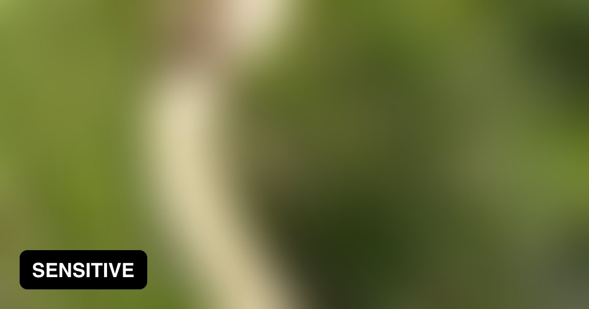 Toad riding a snake - 9GAG