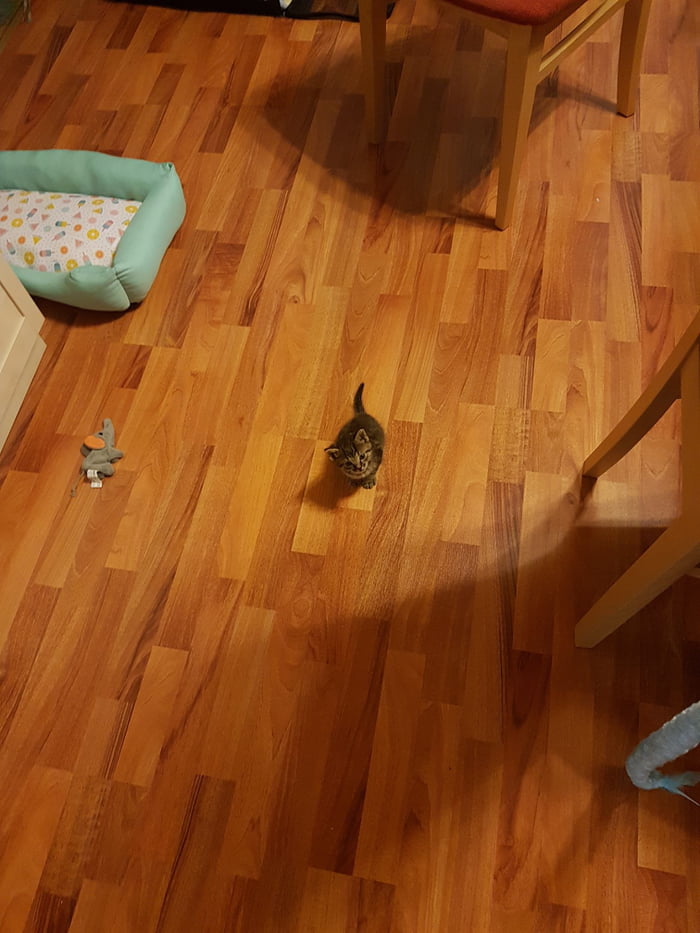 Explain your smolness - 9GAG