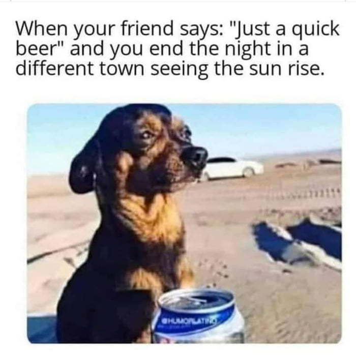 Best Friend 9gag