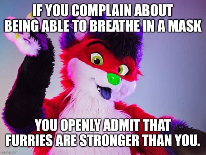 Goddamned Furries - 9GAG