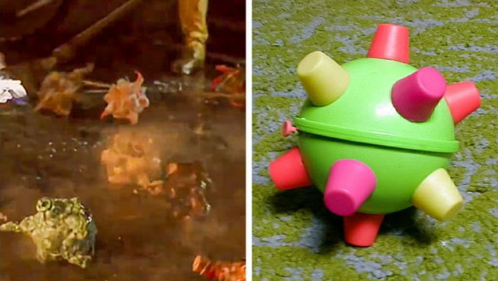 2.) The Fifth Element: The parasites that appeared in the landing gear ...