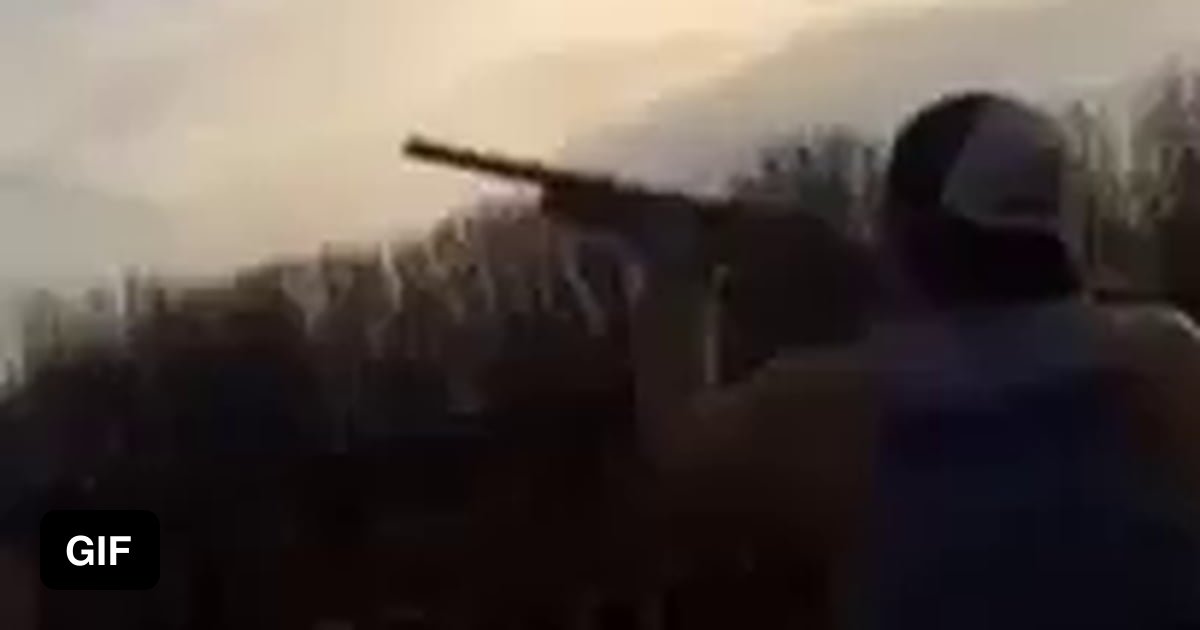 Man shots bird and it happens - 9GAG