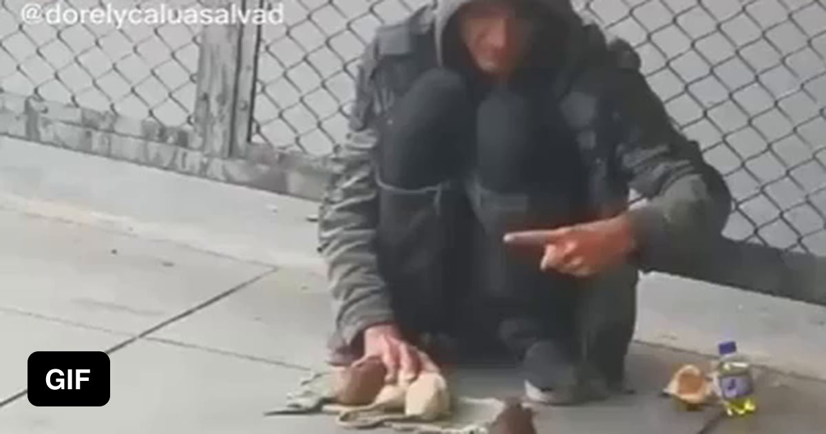 Homeless man teaches different rats multiple tricks. - 9GAG