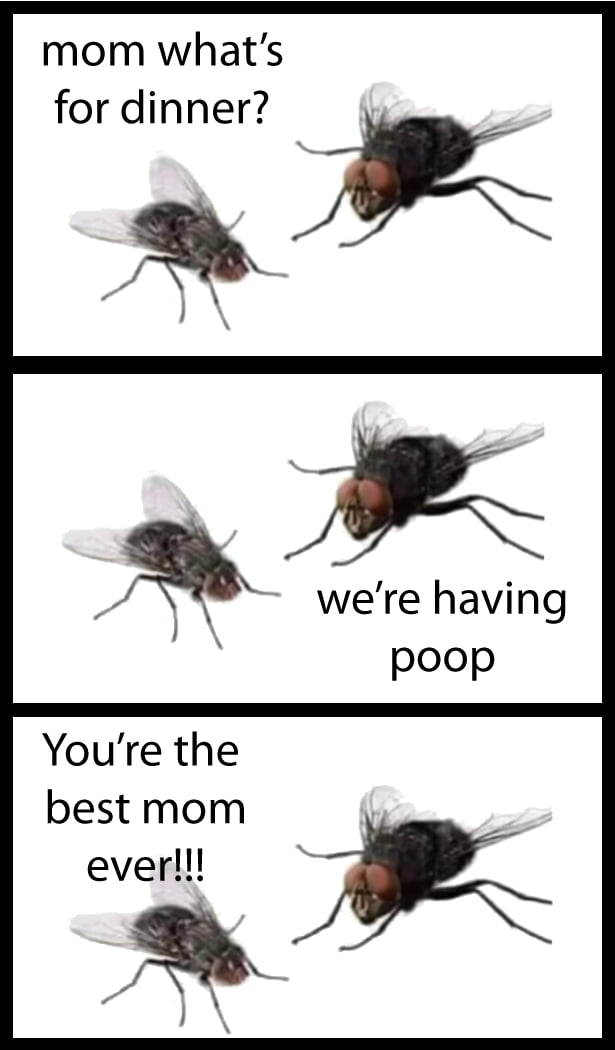 Fly parenting 101 - 9GAG
