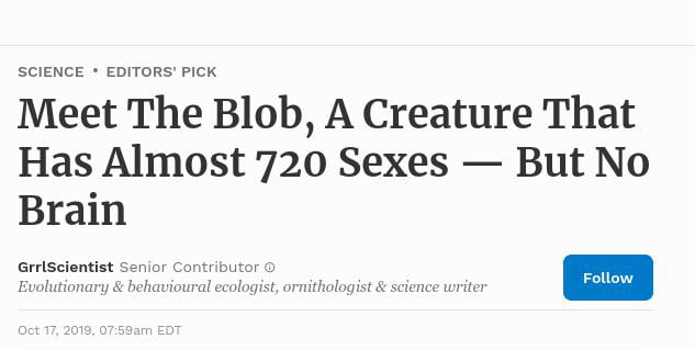 Blob, the Average Twitter user. - 9GAG