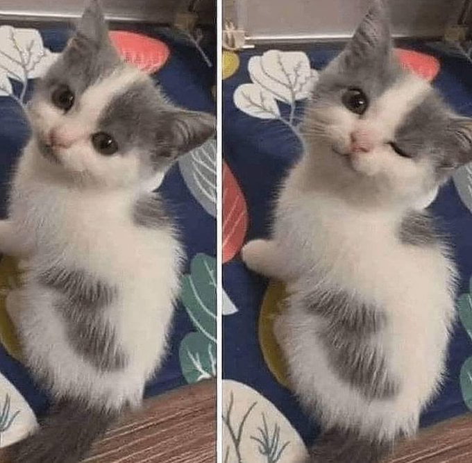 Apaan tuh, cring - 9GAG