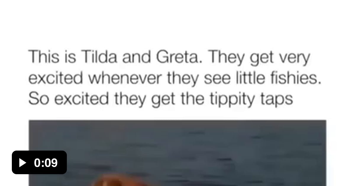 Gentle taps for excited good bois - 9GAG