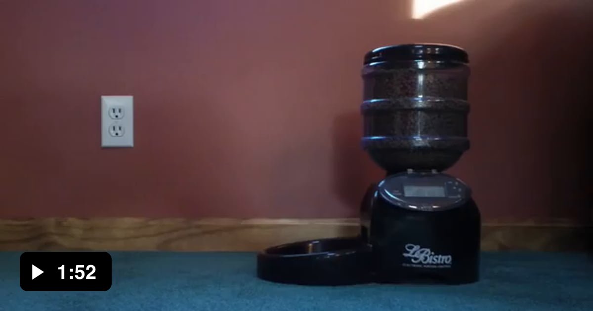 Fat catto outsmarts food dispenser - 9GAG