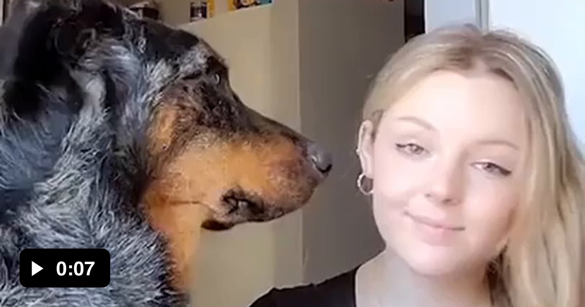 Time to throw some paws - 9GAG