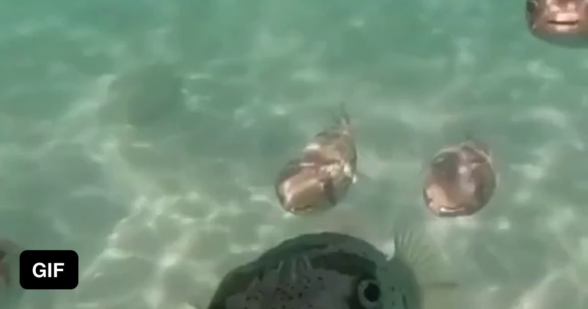 Well, hello there. - 9GAG