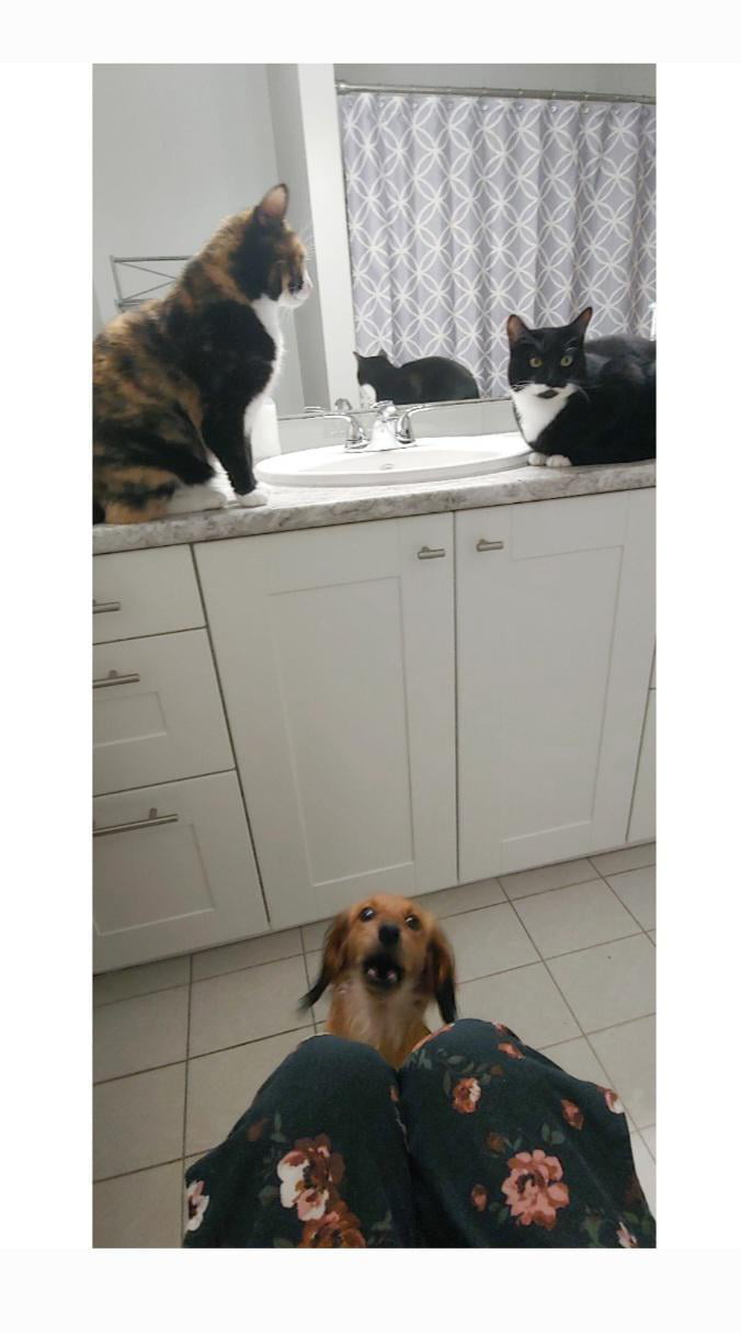 When you're just trying to pee in peace. - 9GAG