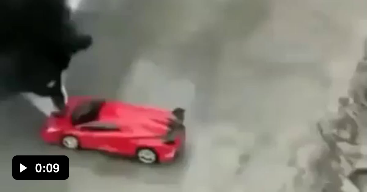 Poor dog😱😱 - 9GAG