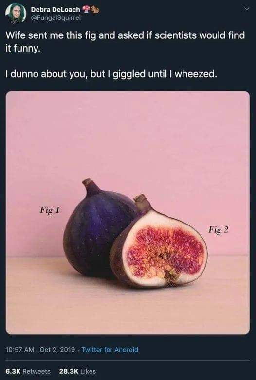 Did you fig that out yet? - 9GAG