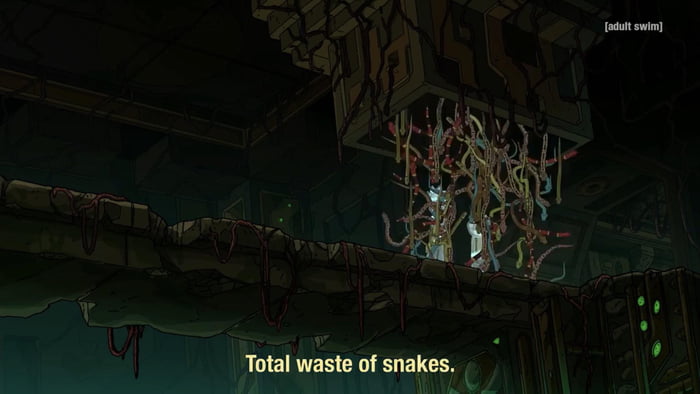 Total waste of snakes - 9GAG