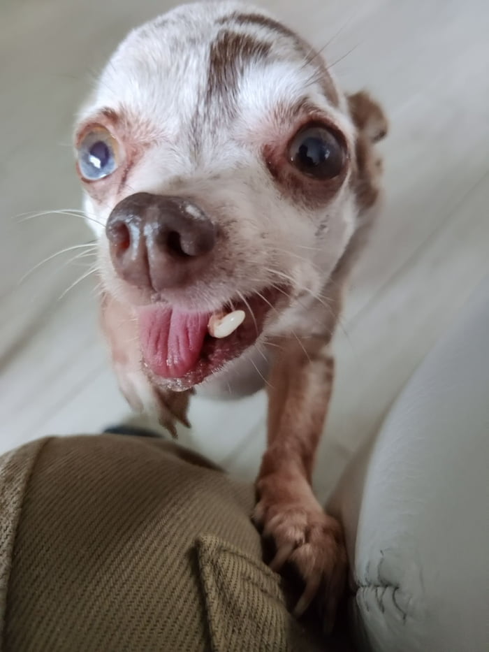 This is my little Picasso - 9GAG