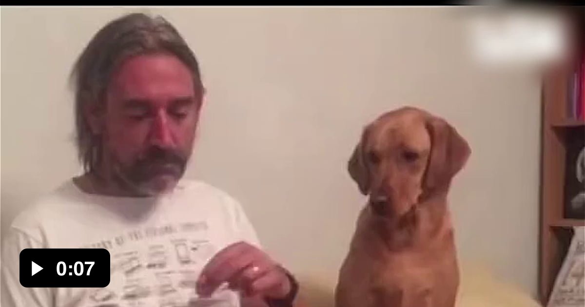 Doggo vs Human - 9GAG