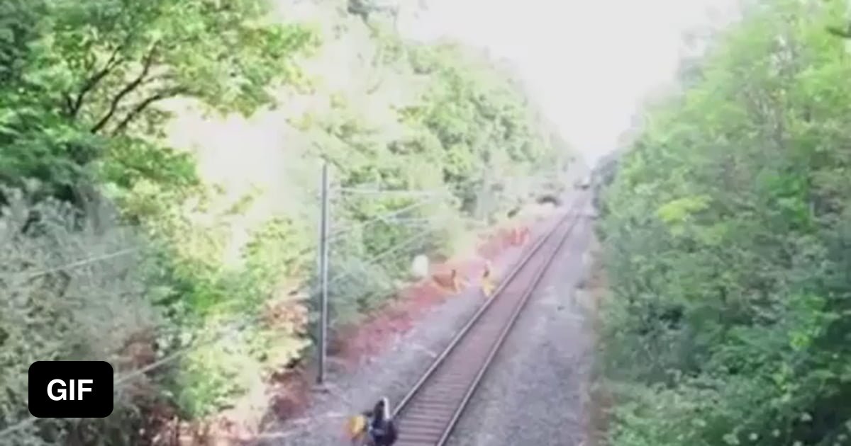 Railway worker saves drunk from getting run over by a train - 9GAG