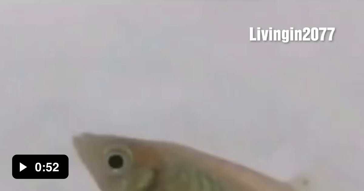 Spawn camping - 9GAG