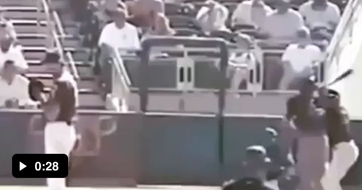 A pitcher accidentally hits a bird (March 24, 2001). - 9GAG