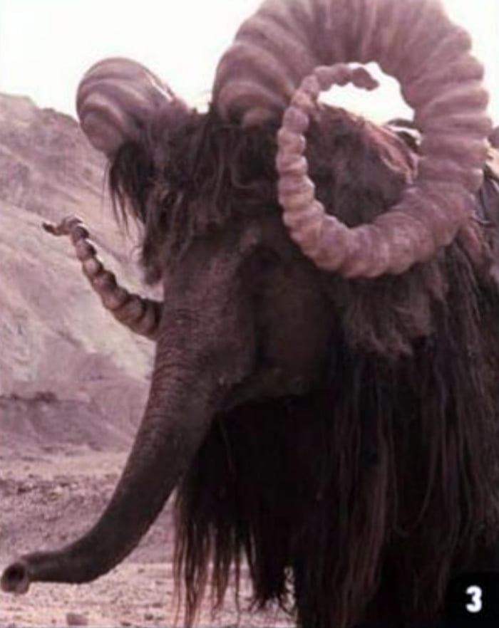 The elephant behind the bantha - 9GAG