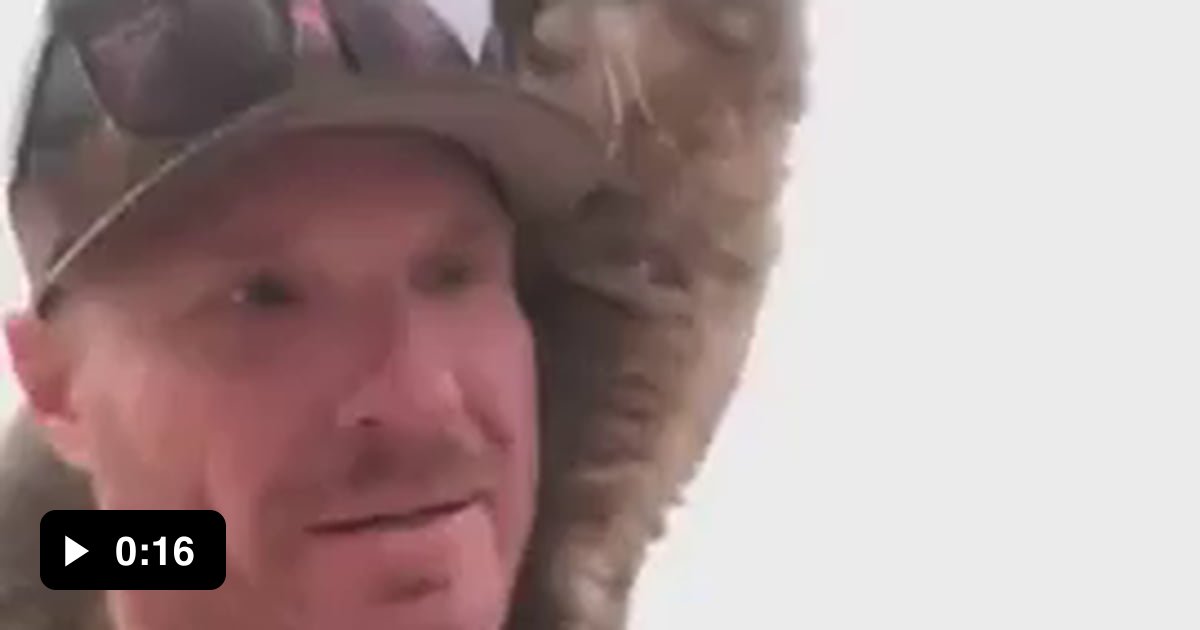 A firefighter being thanked by a very friendly cat after rescuing it ...