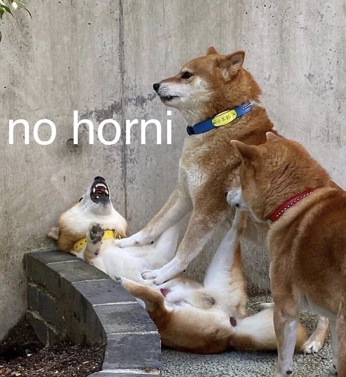 No one read’s these - 9GAG