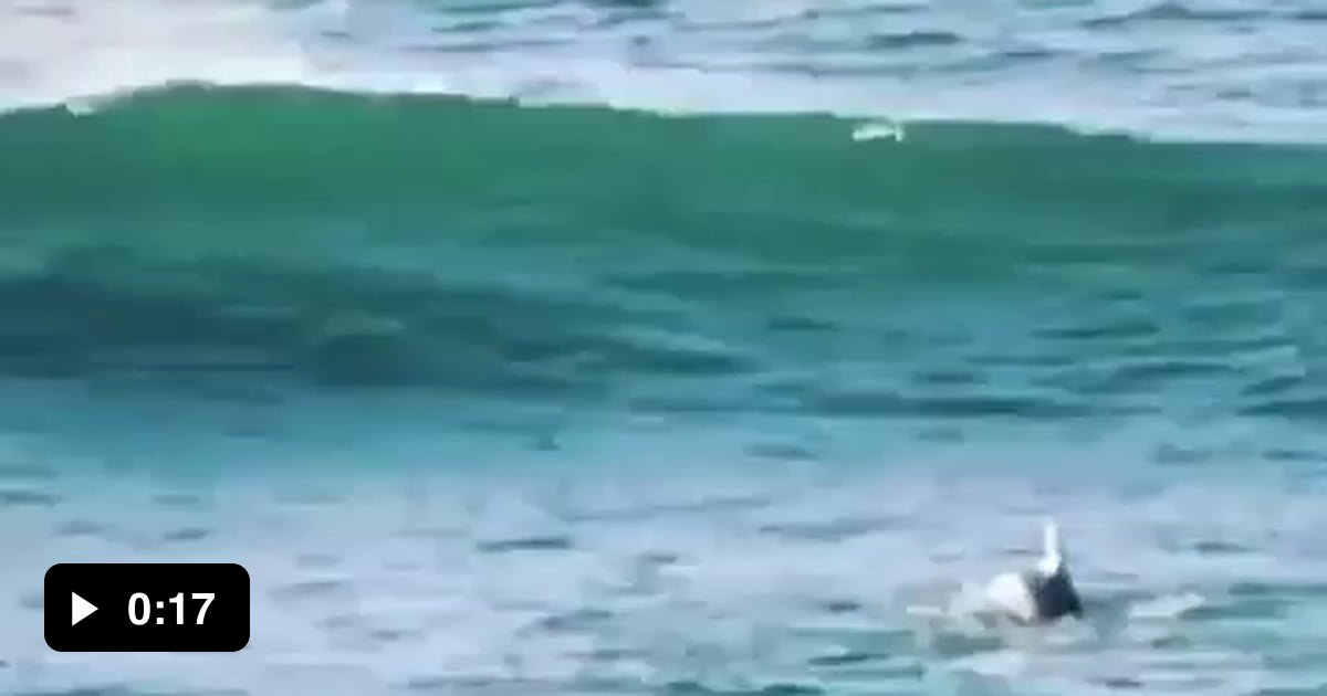 No Tag Backs! - 9GAG