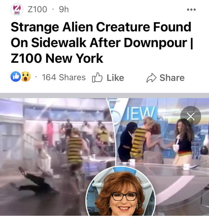 Strange Alien Creature - 9GAG