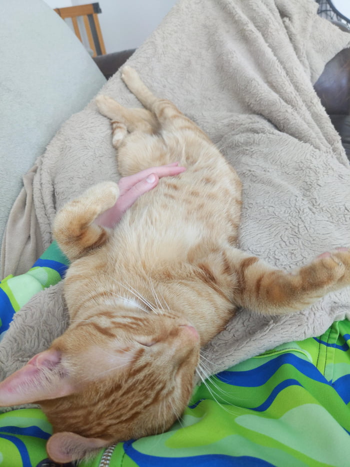 Kepler max chillin - 9GAG