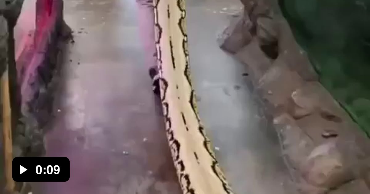 The mega nope nope noodle - 9GAG