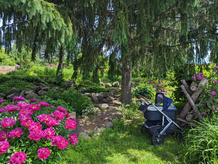 Best nap spot in town - 9GAG