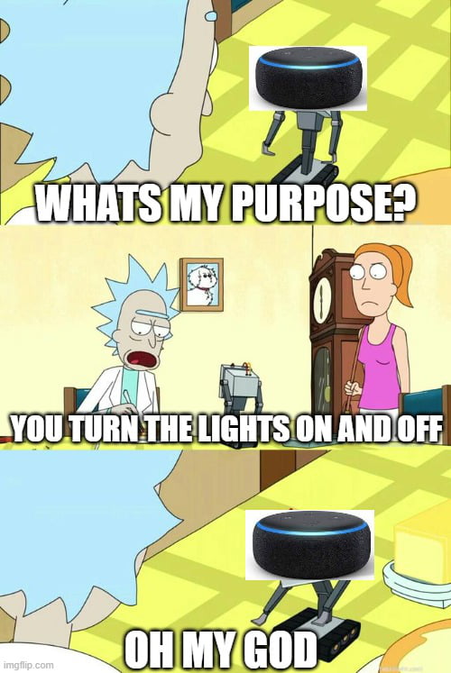 The True Use For Alexa 9gag