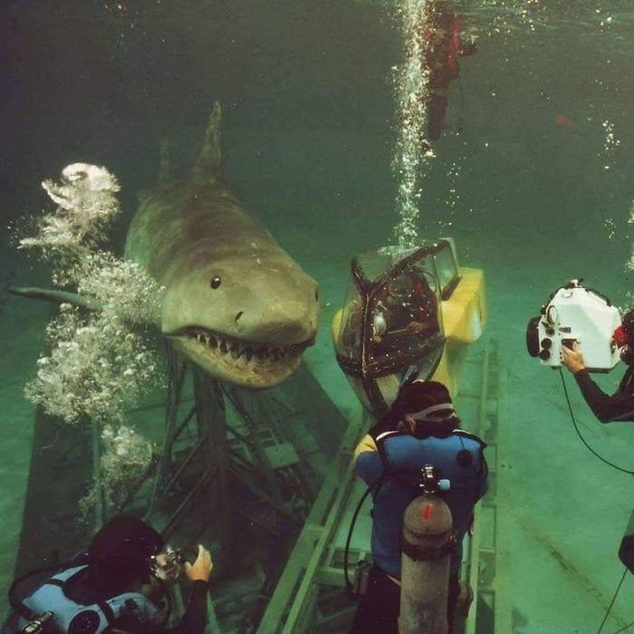 Behind the scenes of Jaws The Revenge (1987). The shark's infamous roar ...