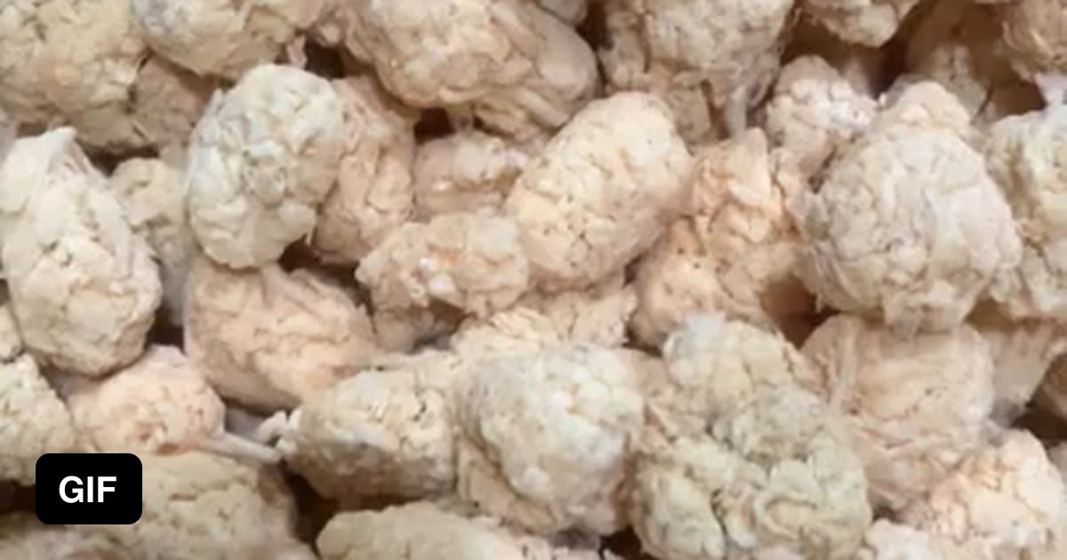 Albino Marijuana - Rare Genetic Mutation - 9GAG
