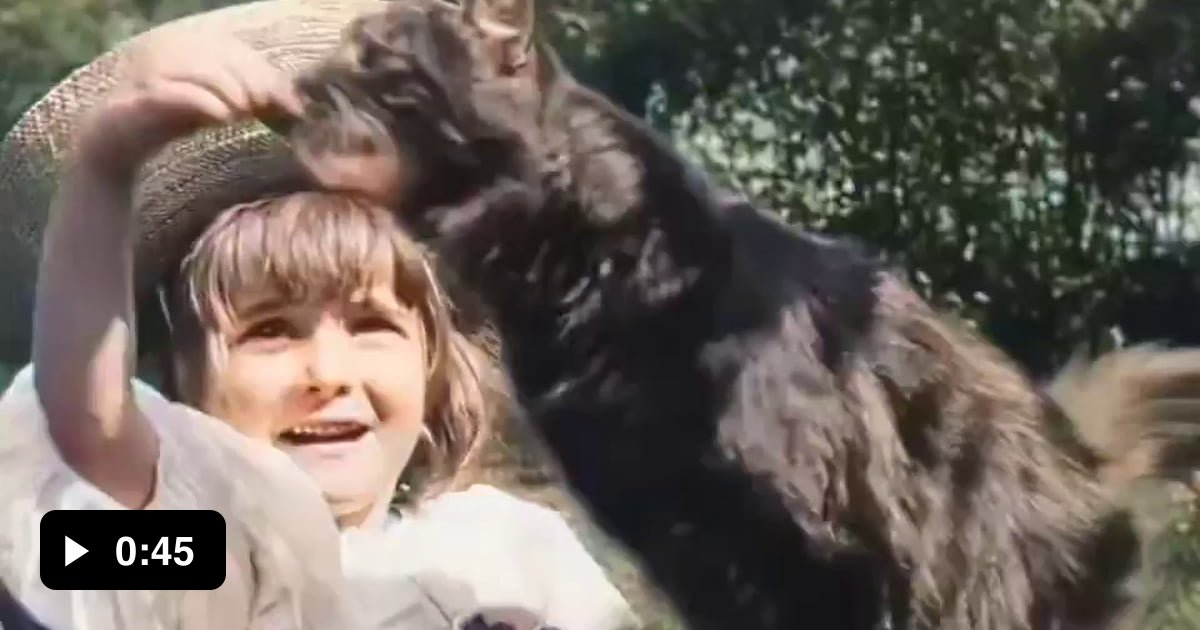 The world's first cat clip ever from 1899. "Little girl and cat ...