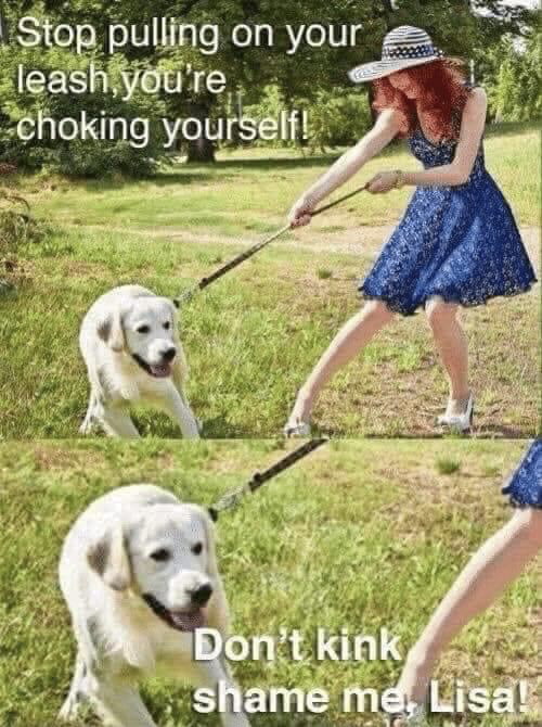 The Reality of your pervert dog - 9GAG