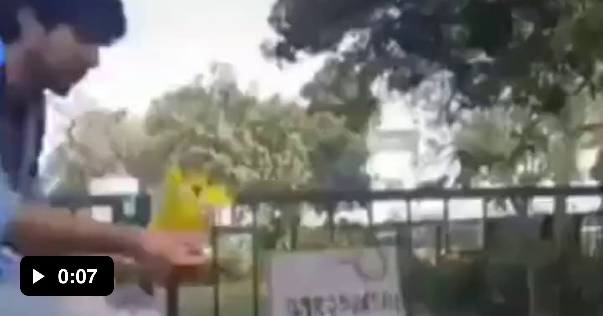 That's one clever monkey - 9GAG