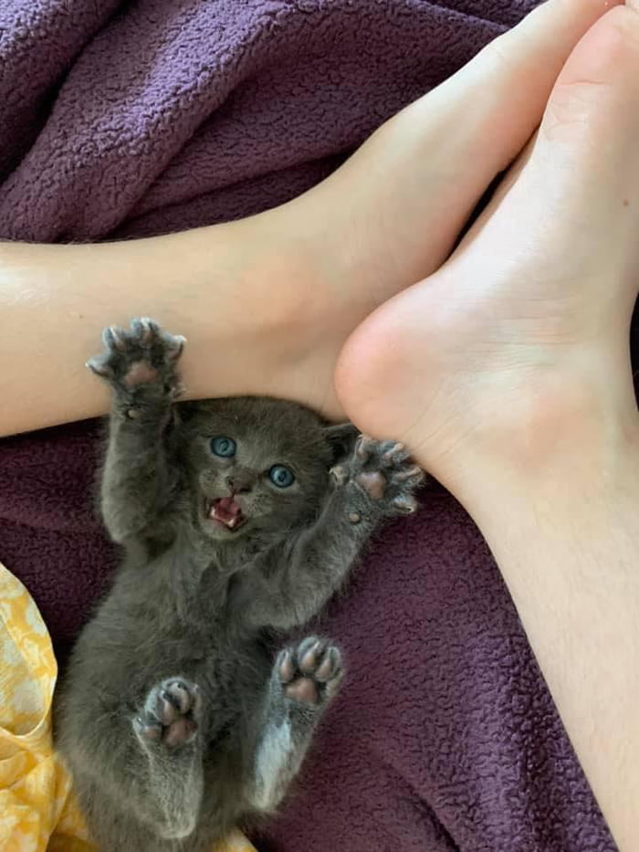 Cutie 9gag 4772