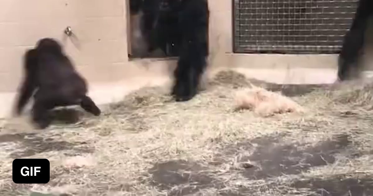 Well helllllllo there - 9GAG