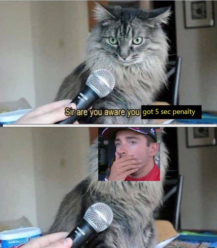 Plot twist : He wasn't aware he was a cat. - 9GAG