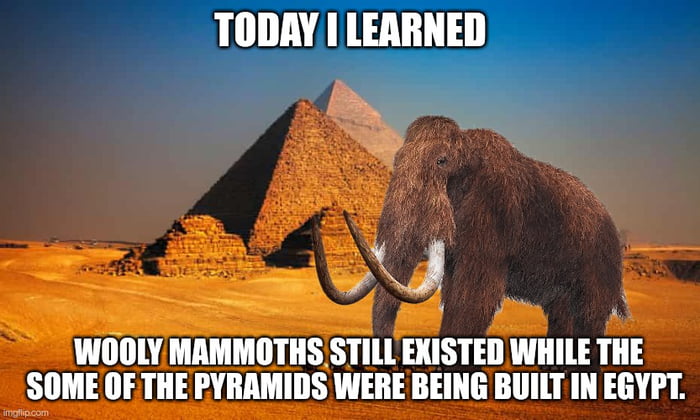 The last known population of Wooly Mammoth remained on Wrangel Island ...