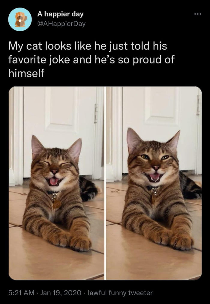 Little man is chuffed! - 9GAG