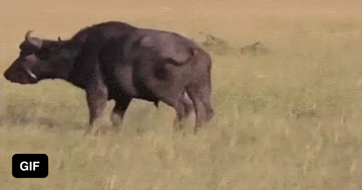 Oof size .... Large - 9GAG