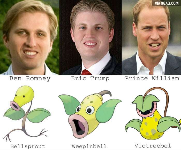 Pokemon evolution - 9GAG